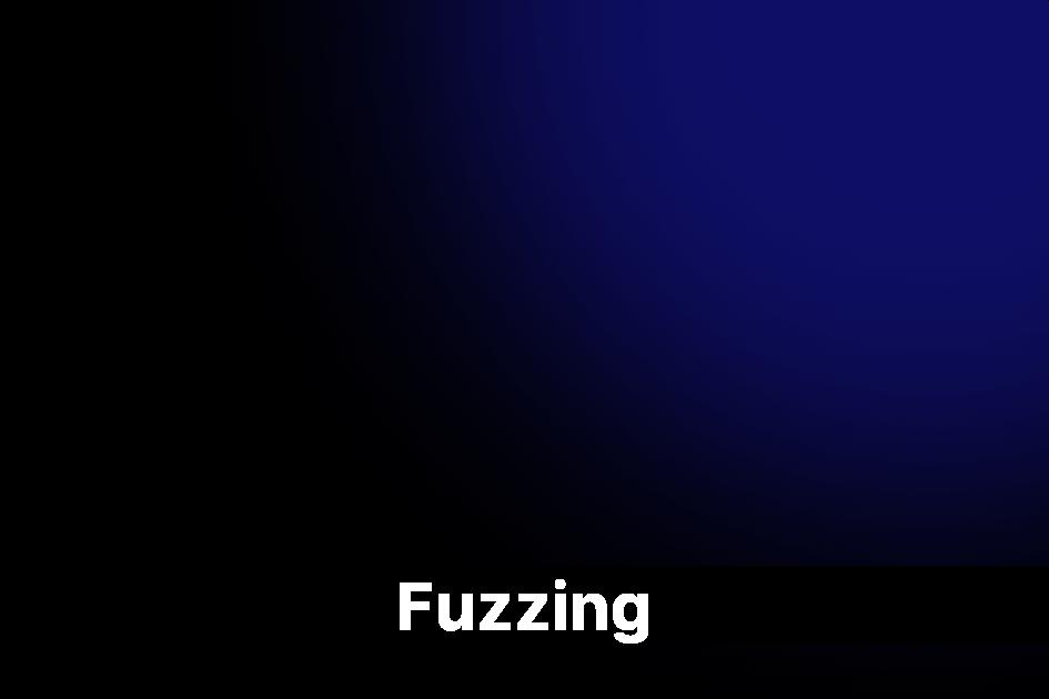 Fuzzing